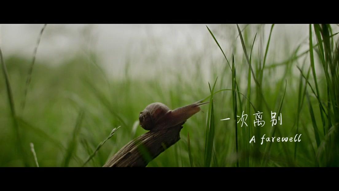 死亡诗社人生最重要的一次离别