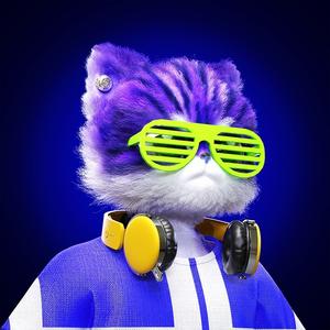 熊猫先生说财经 