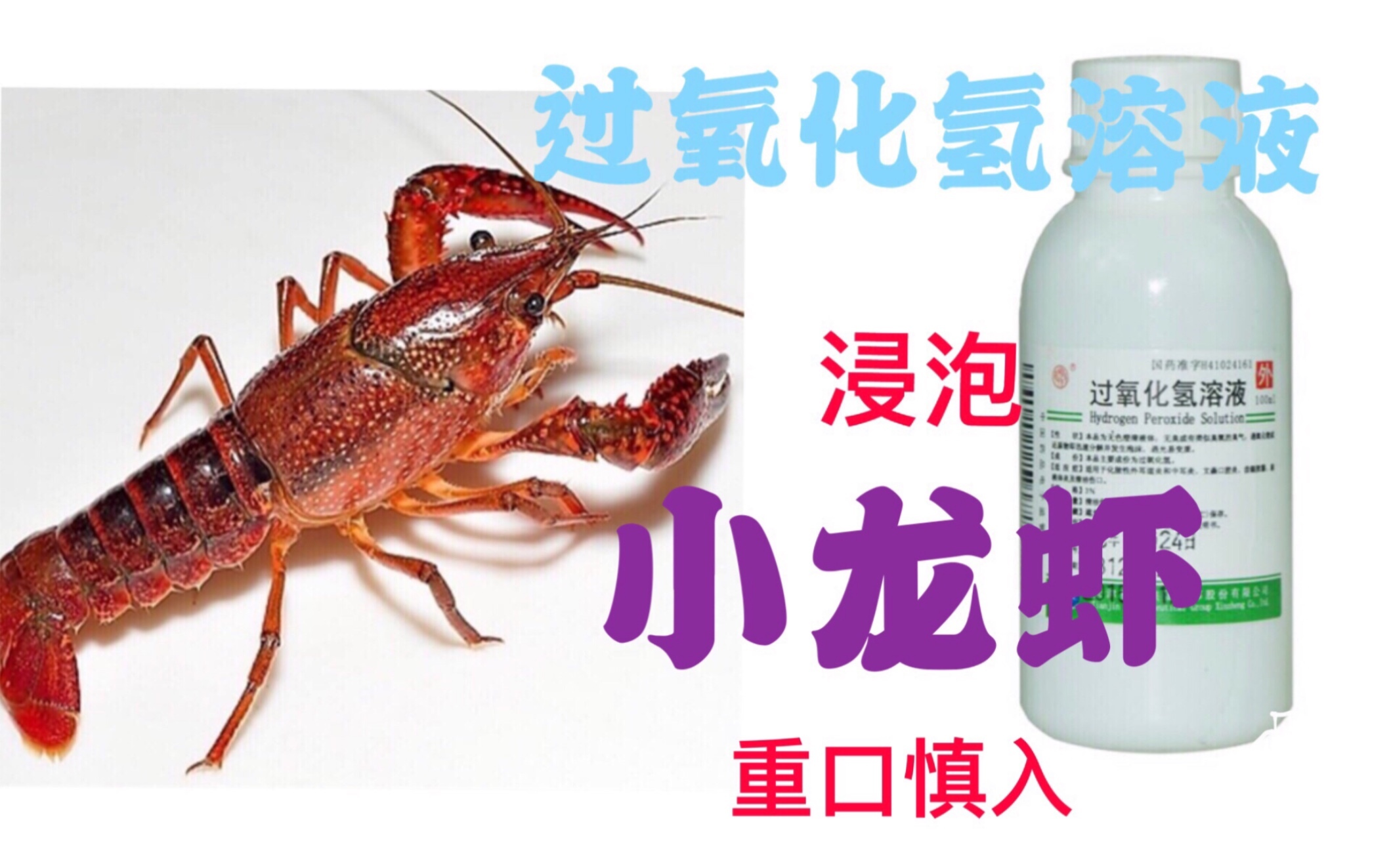 这UP主用过氧化氢溶液浸泡小龙虾过程,会发生什么情况?(慎入)
