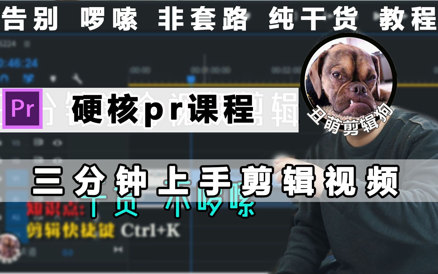 小白上手第一节:三分钟让你学会用pr剪辑视频,看完视频你想学不会都难!