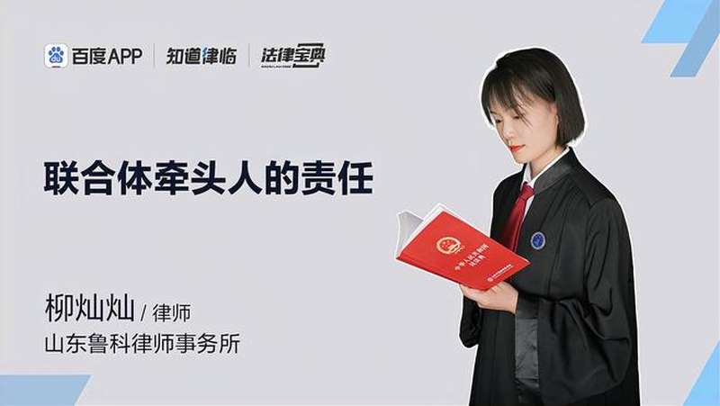 联合体牵头人的责任