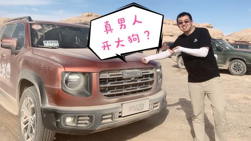 试驾哈弗大狗,比哈弗H6通过性更强,尝试两驱穿越无人区