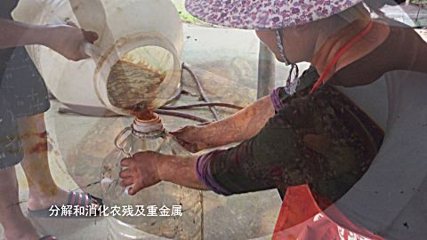 践行者-红枫湖共生生态农耕农民合作社的生态农耕实践