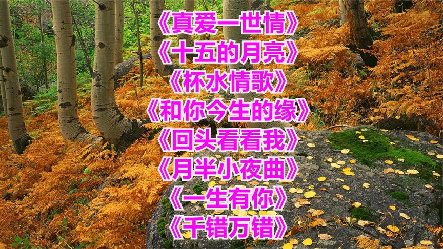 {真爱一世情}{十五的月亮}{杯水情歌}{和你今生的缘}