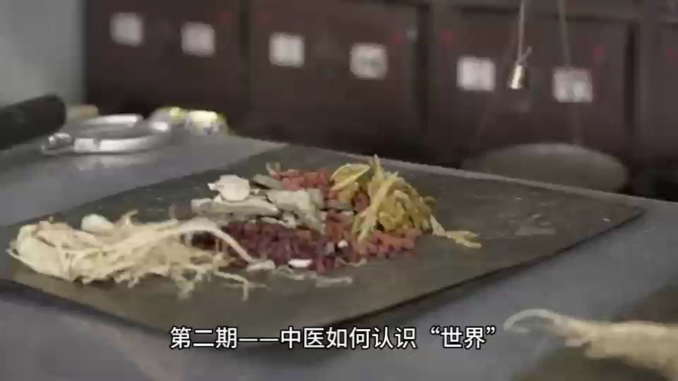 中医科普系列微课第二期