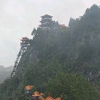 老弟龙龙 