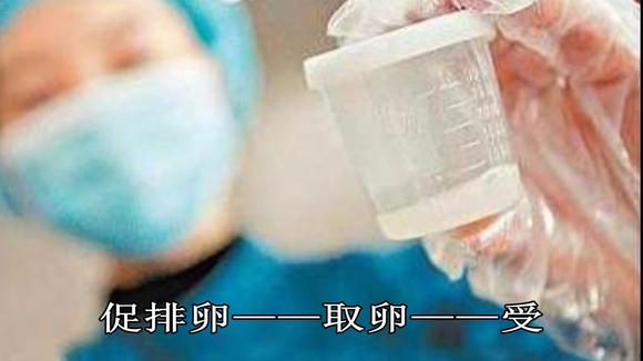 做试管婴儿全过程,看着都痛,真的心疼女人一万遍