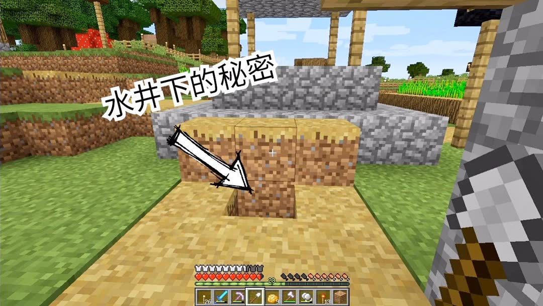 我的世界呆呆生存记 第二季18 水井下的秘密