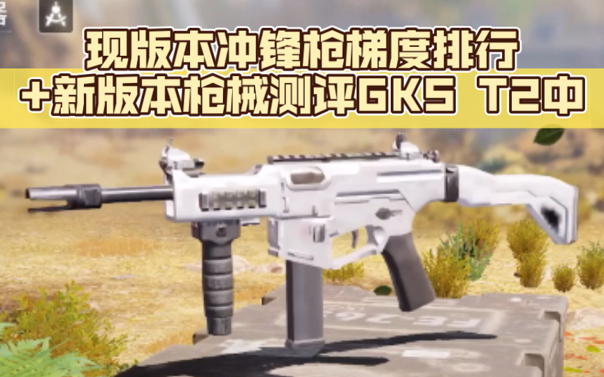 现版本冲锋枪梯度排行+新版本枪械测评GKS T2中【CODM战场】