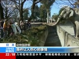 [国际时讯]日本 大象“老寿星”是否该回归自然?