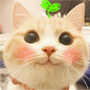 熊熊他 