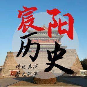 宸阳历史 