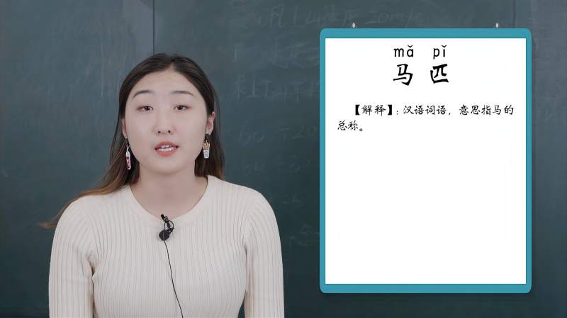 胡老大带你轻松学:快速认识词语「马匹」