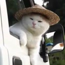 万里独行岳不群 