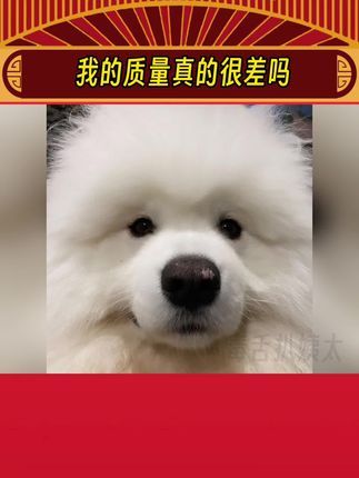 我的质量真的很差吗#娱乐评论大赏