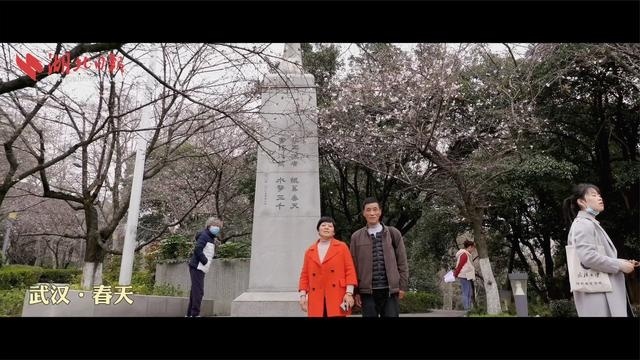 今年春天,和我一起来武汉赏樱花!