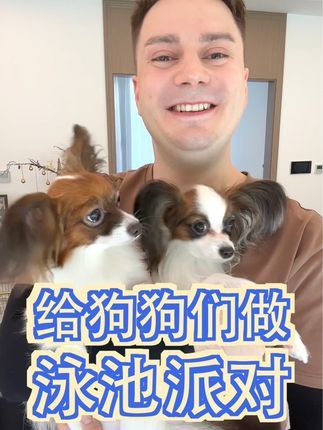 今天我要给狗狗们做泳池派对!#狗狗游泳