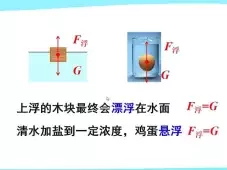 10.3物体的沉浮条件第一节