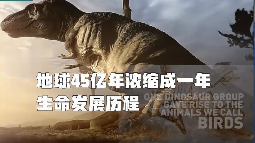 大片来袭 地球45亿年历史浓缩成一年 讲述生命发展历程
