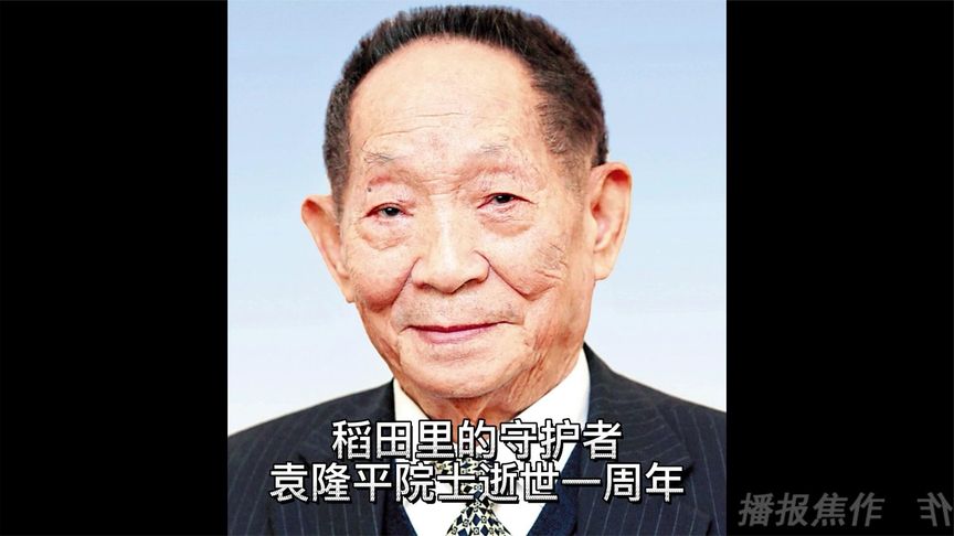 稻田守护者袁隆平院士,您做到了饭碗牢牢掌握在中国人手里。