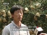 《焦点访谈》 20160601 李保国:魂系太行