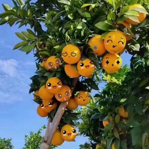 GardeningHeaven 