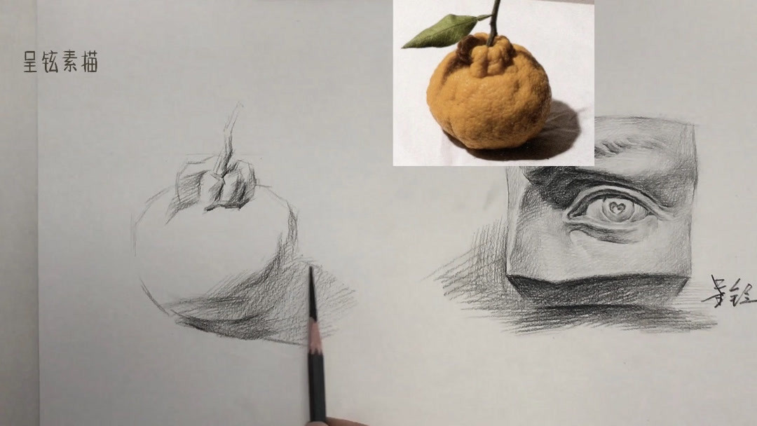 丑橘是静物素描里常见的水果之一!很简单,别错过了