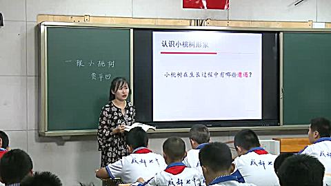 3人教部编版语文七下《18一棵小桃树》四川省省级优课