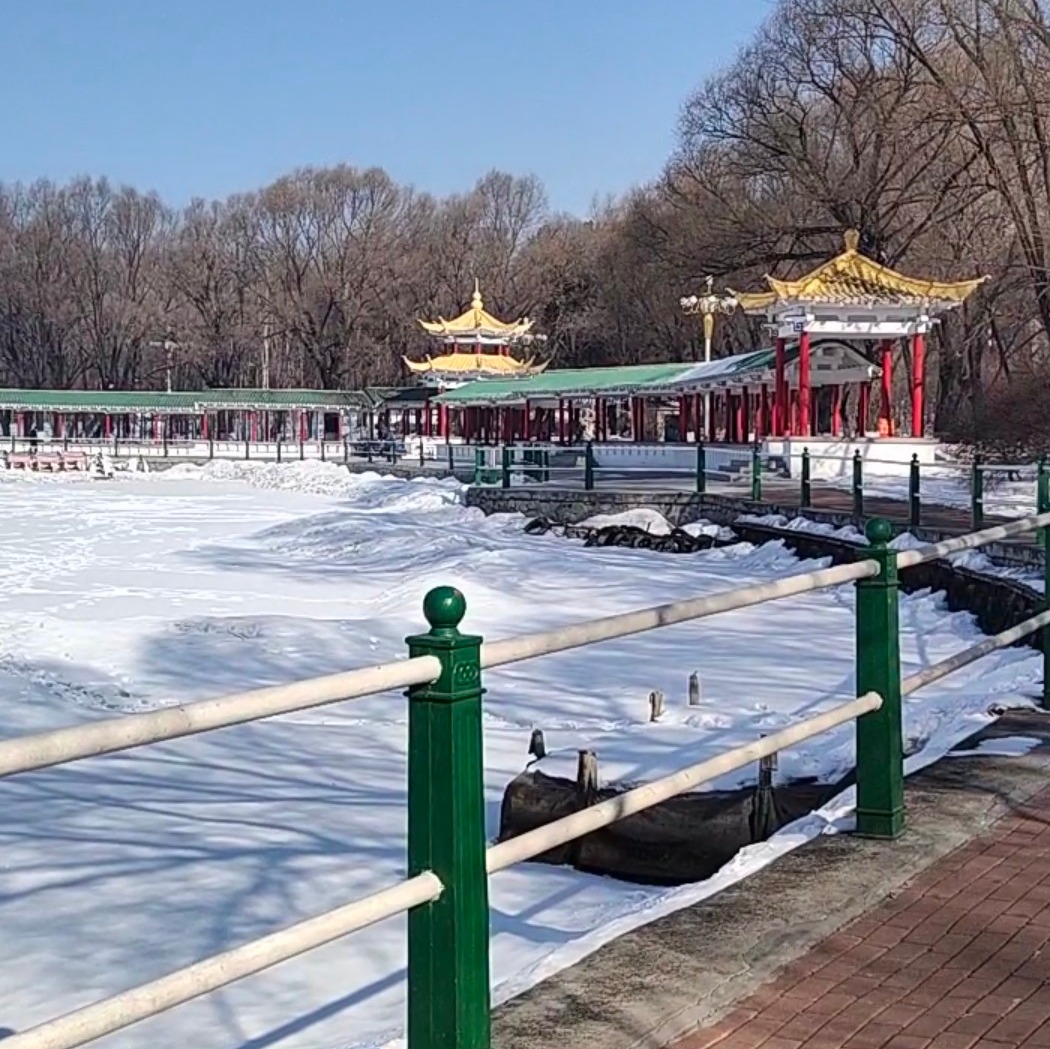 wangyilin224455 