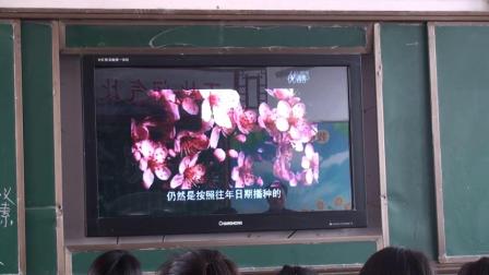 八年级下册部编语文《大自然的语言》教学视频小荷尖尖