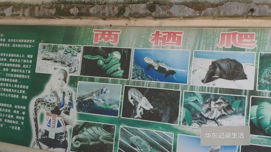 安庆市动物园,十块钱逛鱼类两栖爬行馆。