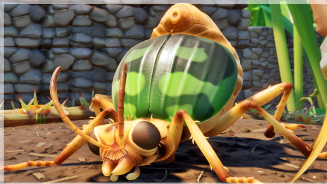 微小世界生存战|凶猛的投弹甲虫!我们用幼虫匕首对决!