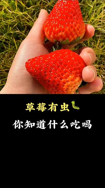 看一下草莓表面有没有细菌