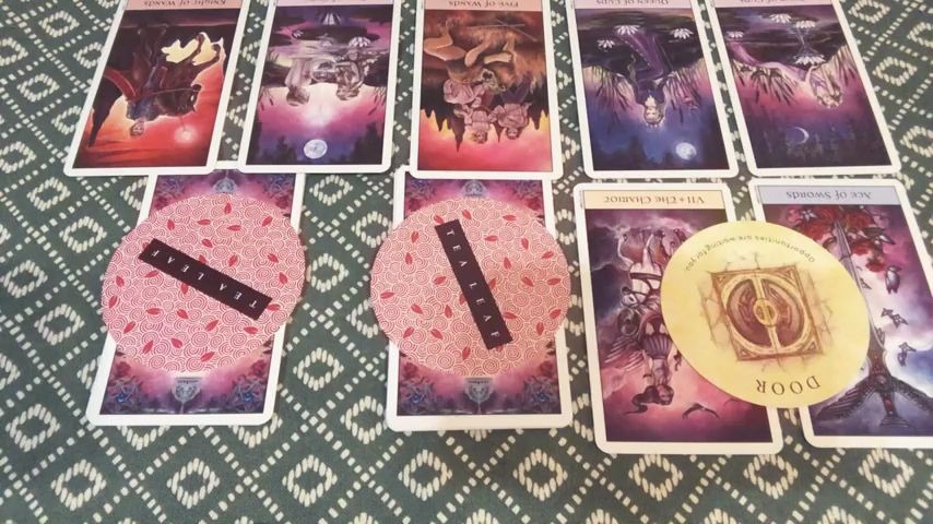 塔罗占卜:Ta喜欢我吗?他下一步会做什么?测测他的想法!