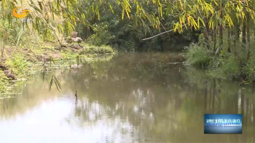 河道变“高颜值”全靠生态修复