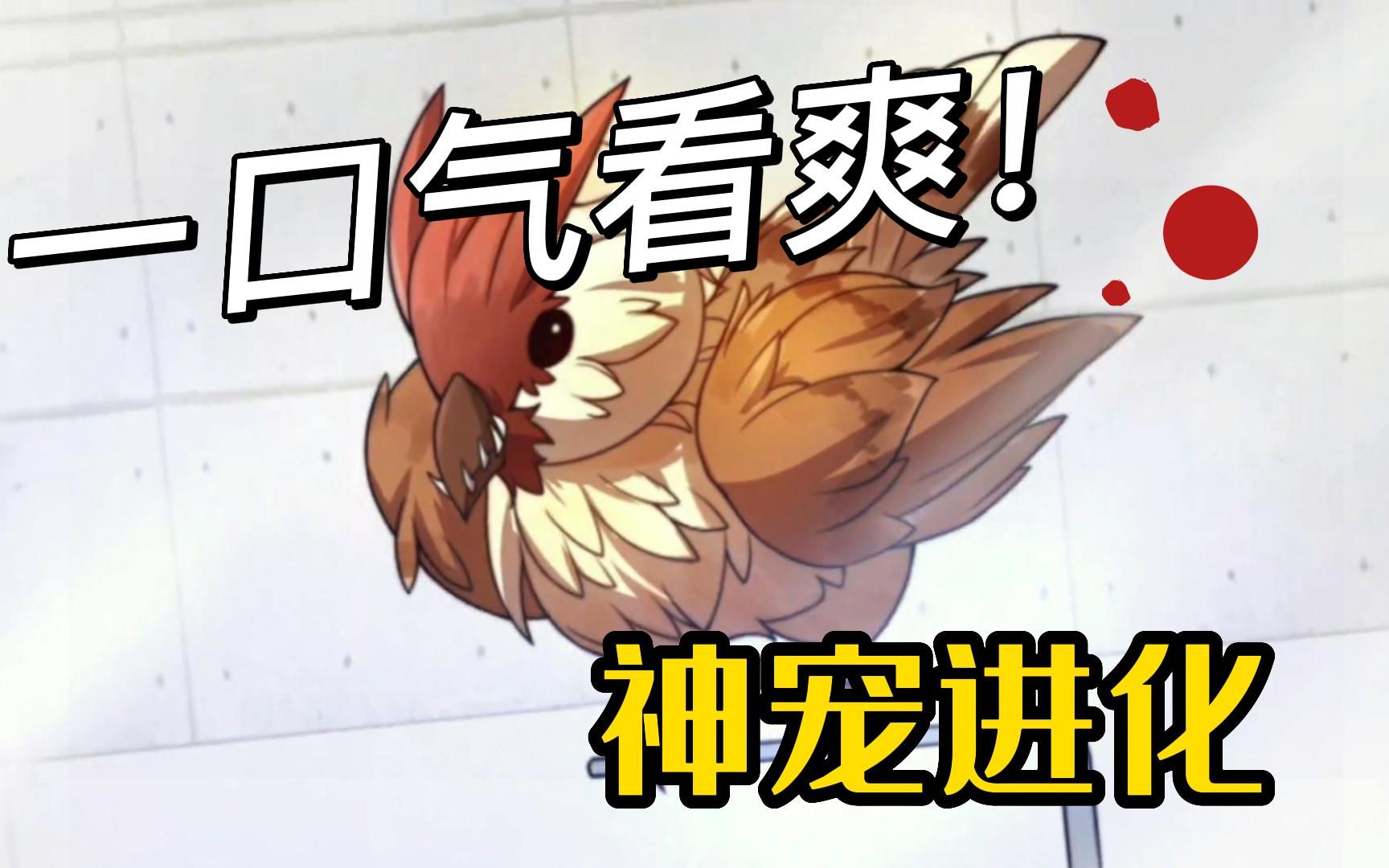 一口气看完《神宠进化》世界异变,各种生物都发生了进化