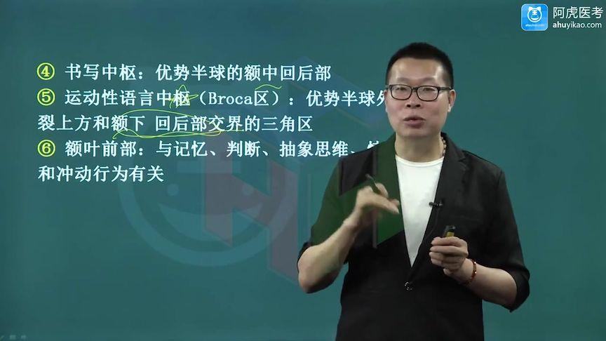 2020神经内科学高级职称-神经系统的解剖与生理:中枢神经二
