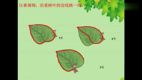 新课标小学三年级数学《认识周长》微课视频