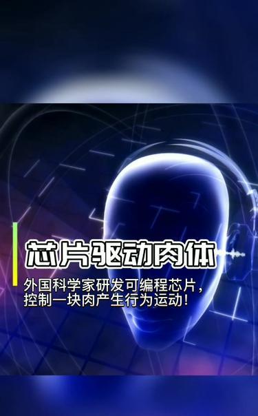 外国科学家研发可编程芯片,可控制一块肉行为运动