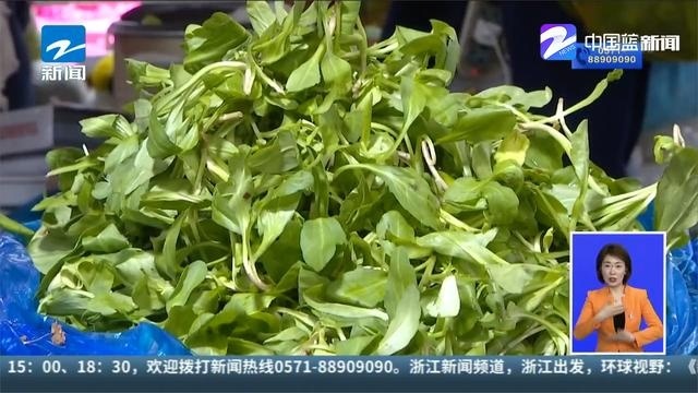 春天"菜篮子":香椿50元一斤!你实现香椿自由了吗?