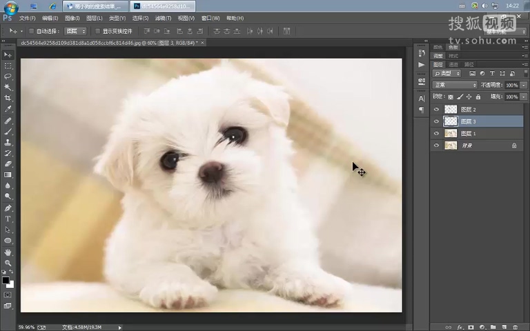 photoshop基础 ps教程 ps教材 photoshop动作