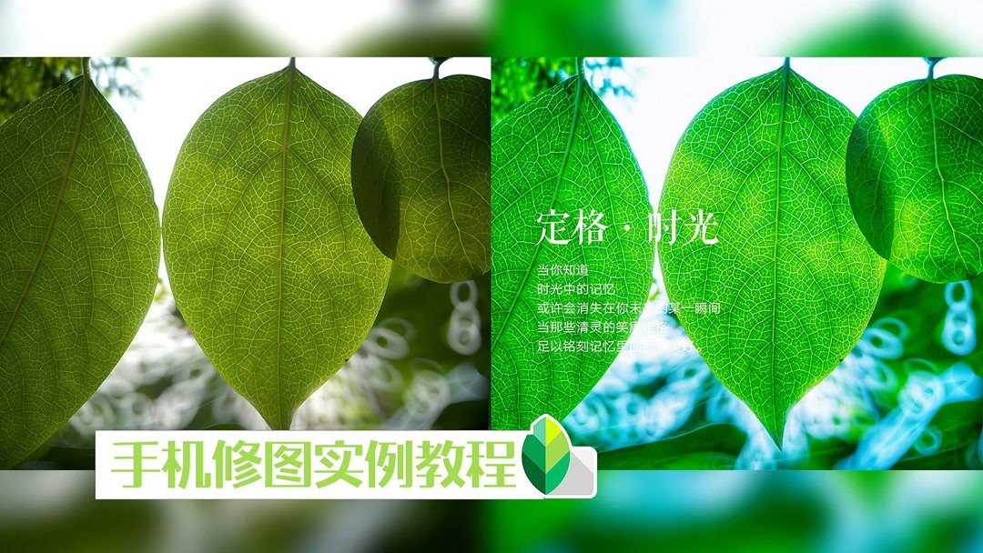 手机修图超级干货,文艺照片怎么后期,教你简单粗暴的调小清新片