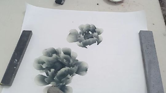 水墨牡丹画头画法,白老师画给您看!