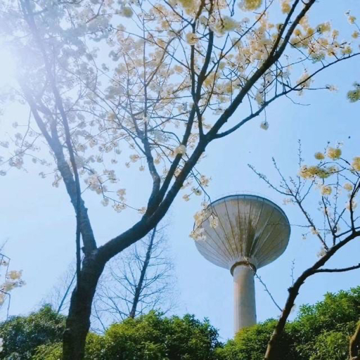 长大考研陈学长 