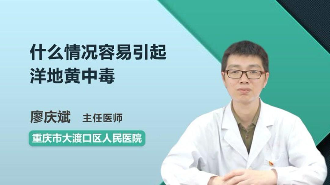 什么情况容易引起洋地黄中毒