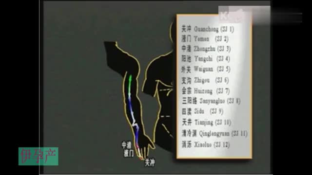 经络腧穴篇:三焦经经脉巡行及穴位位置和功效讲解