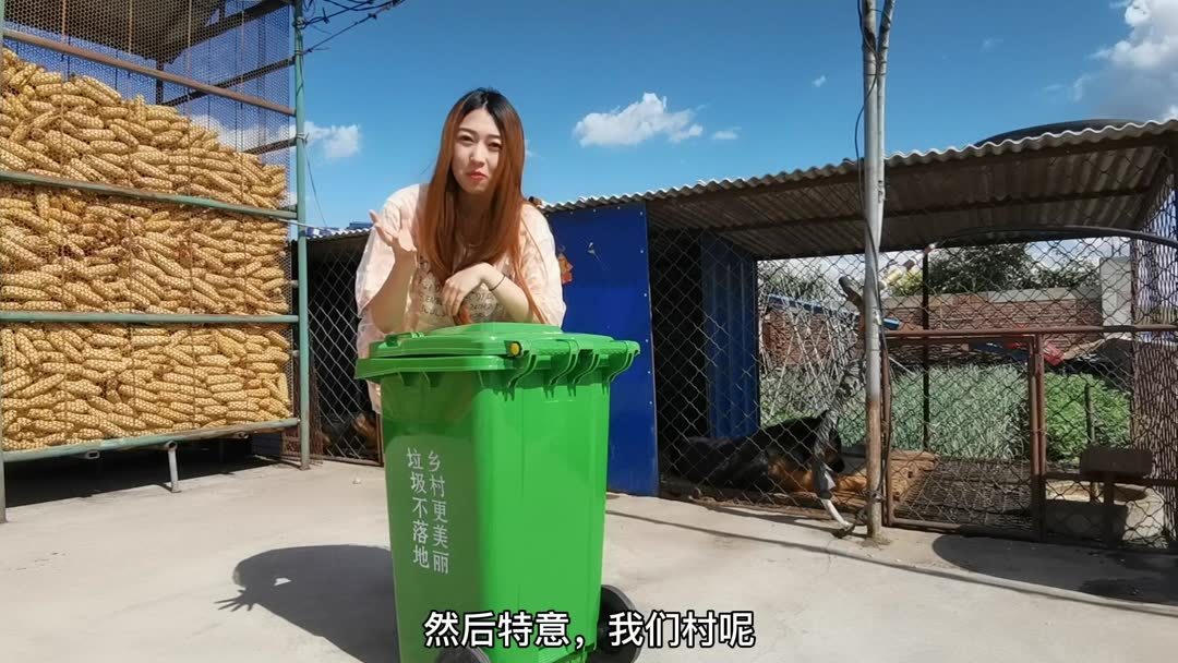 农村政策太好了,免费领取环保工具,国家得补贴多少钱?