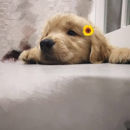 致马不停蹄的你 