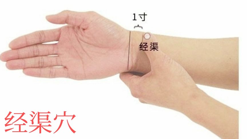 宣肺理气_经渠穴