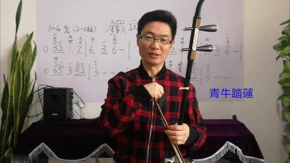 《铁血丹心》二胡教学,精选视频,C调26弦指法弓法,逐句精讲